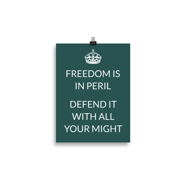 Freedom is in peril Poster – The Right Store